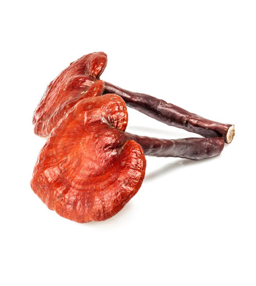 Understanding Terpenes & Adaptogens |- TRBC