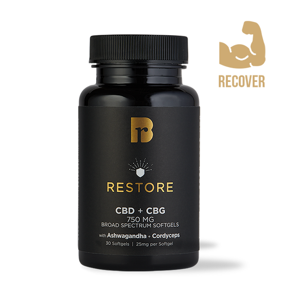 Raw Botanics All Natural Mushroom & Plant-Based Adaptogen Supplements ...